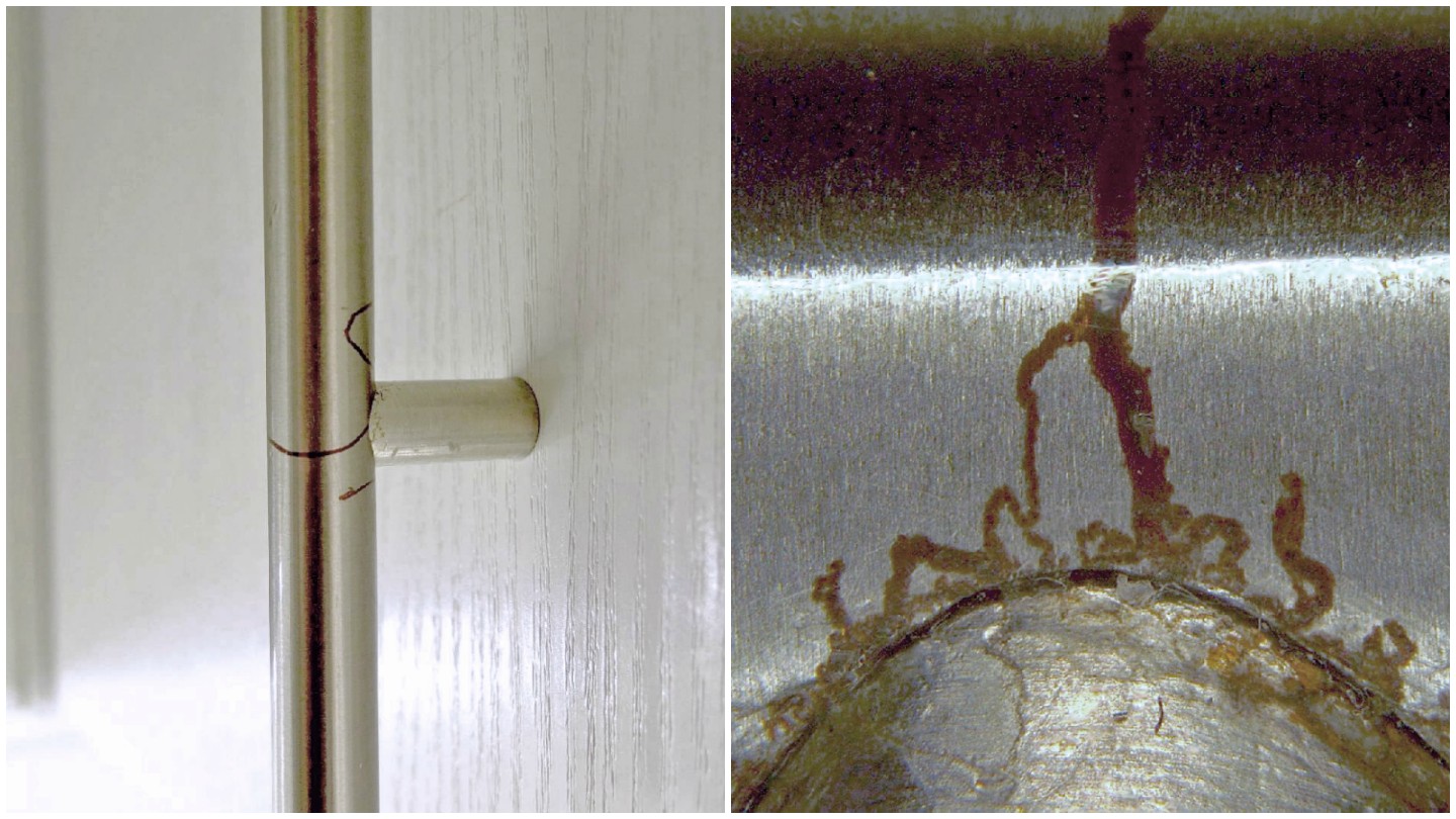 Schadensbild Filiformkorrosion - Ingenieurbüro Düsseldorf